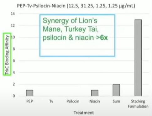 The Science-Backed Stamets Stack for Microdosing Success – Psychetopia